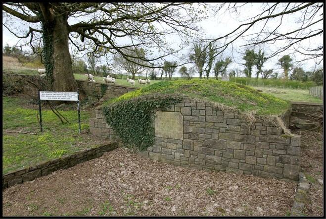 The Famine Pit and the Hanging Tree – The Rambling Wombat