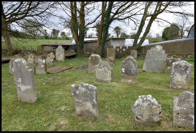 The Famine Pit and the Hanging Tree – The Rambling Wombat