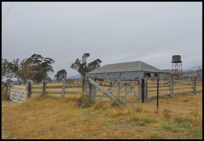 Cuppangabalong Woolshed – The Rambling Wombat