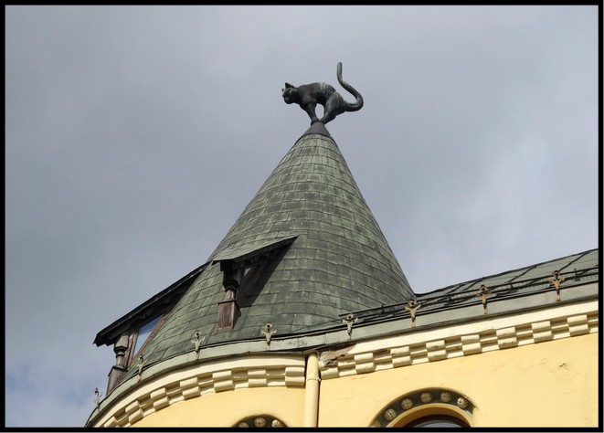 Time to Get Catty – The Cat House – The Rambling Wombat