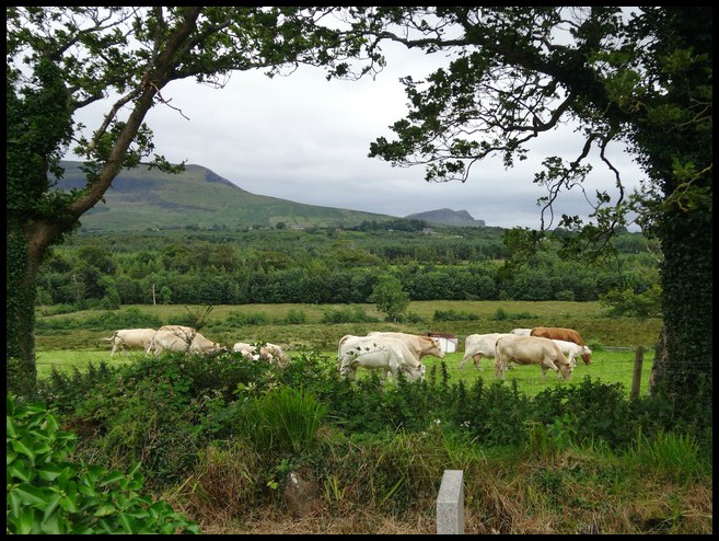 Old Kinlough Church and Cemetery and the Civil War – The Rambling Wombat