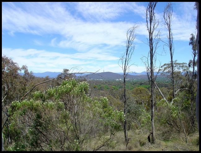 Walk up Mt Majura – The Rambling Wombat