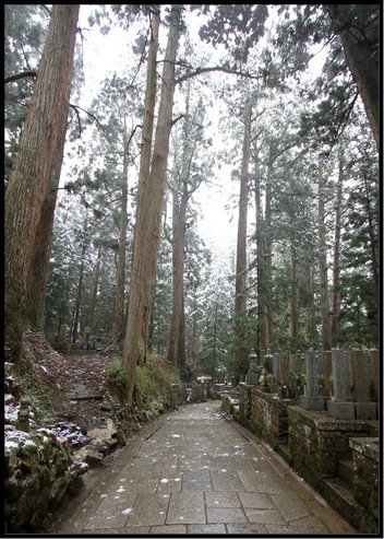 Okunoin Cemetery – The Rambling Wombat
