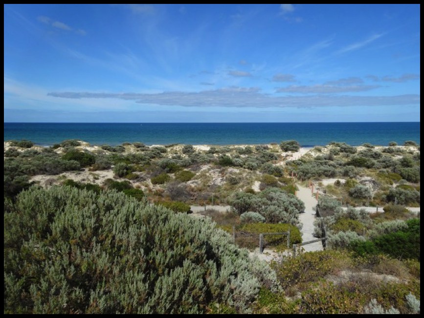 Tennyson Dunes – The Rambling Wombat