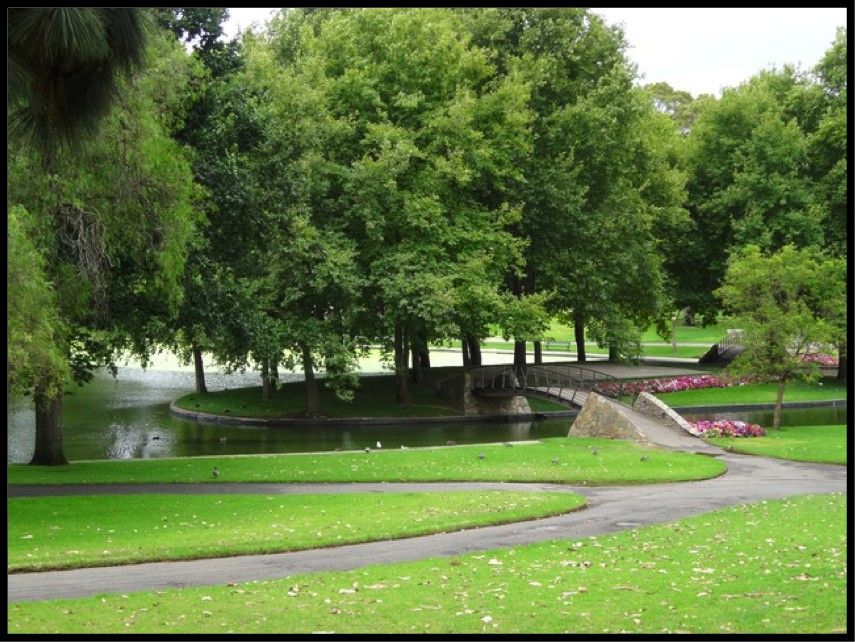 Alice in (Rymill Park) Wonderland – The Rambling Wombat