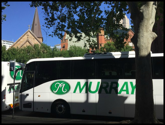 Sydney – Canberra by Bus – The Rambling Wombat