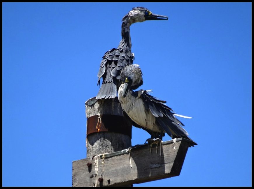 Metal Birds by the Sea – The Rambling Wombat