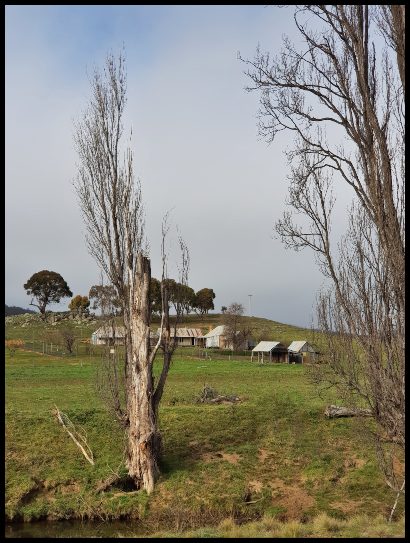 London Bridge Walk – via London Bridge Homestead – The Rambling Wombat