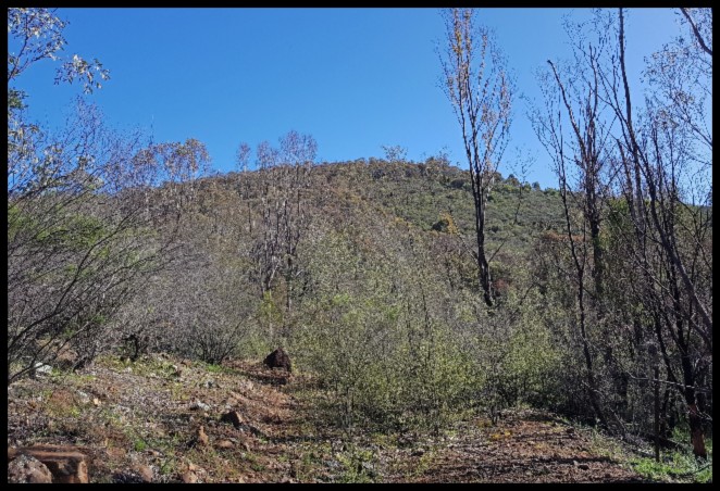 Mt McDonald and the Cotter Catchment Lookout Walk – The Rambling Wombat