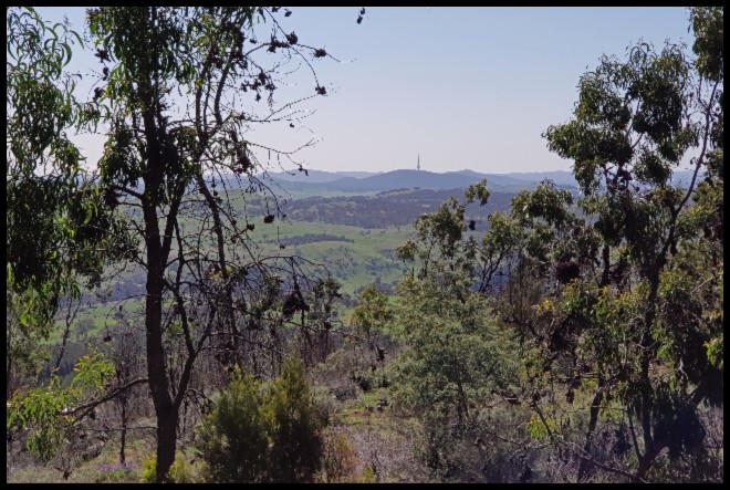 Mt McDonald and the Cotter Catchment Lookout Walk – The Rambling Wombat