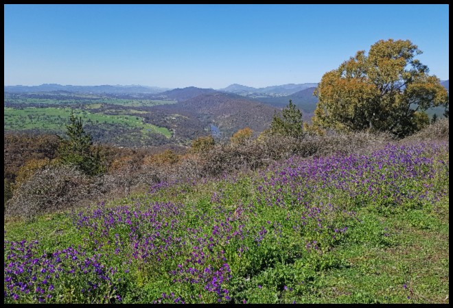Mt McDonald and the Cotter Catchment Lookout Walk – The Rambling Wombat