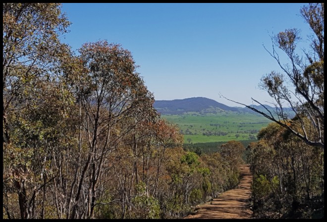 Mt McDonald and the Cotter Catchment Lookout Walk – The Rambling Wombat